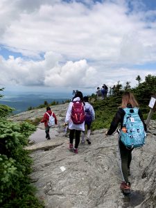 LEES Program - United States Earth Science Organization